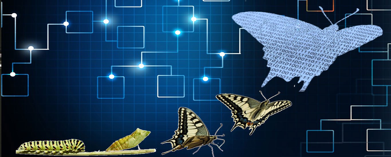 The Digital Metamorphosis - Transitioning SuccessfullySSF Global